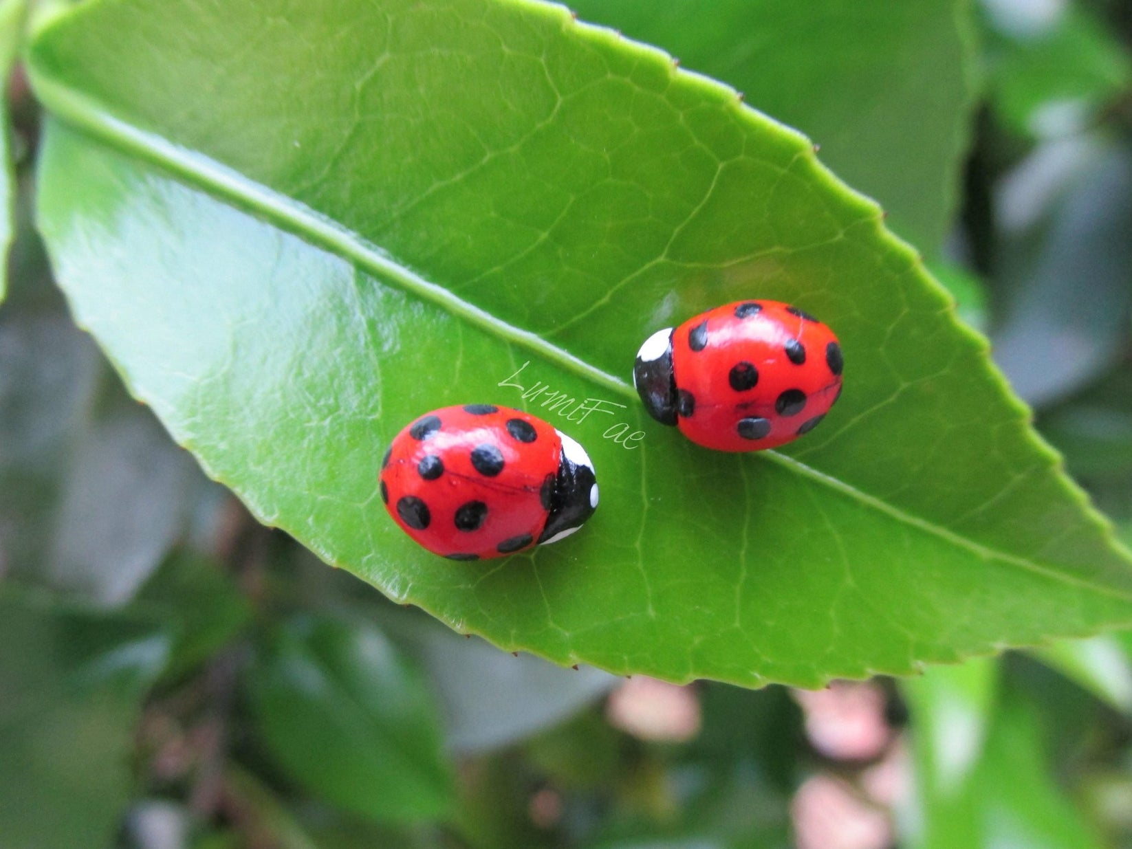 Realistic Ladybug Earrings, Hypoallergenic, Handcrafted – LumiFae